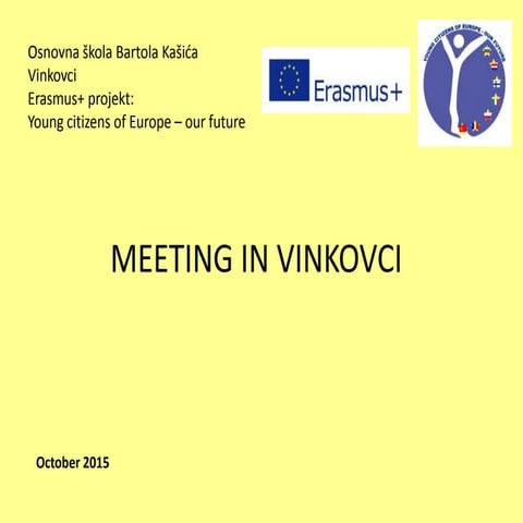 Ana Milutinovic CV engleski | PDF