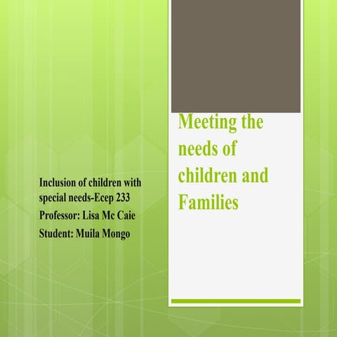 Meeting the Needs of Child and Families | PPTX