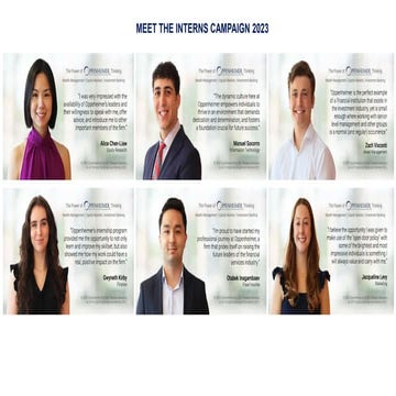 Meet the Interns (1). | PPT