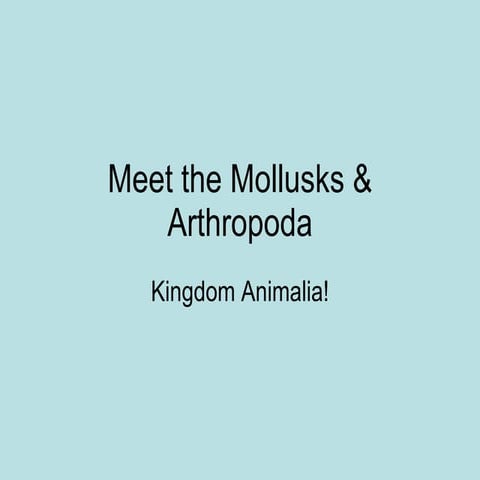 Limulus | PPT