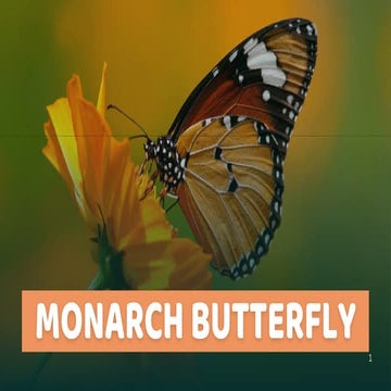 Monarch butterfly, the migrating butterfly(1).pdf