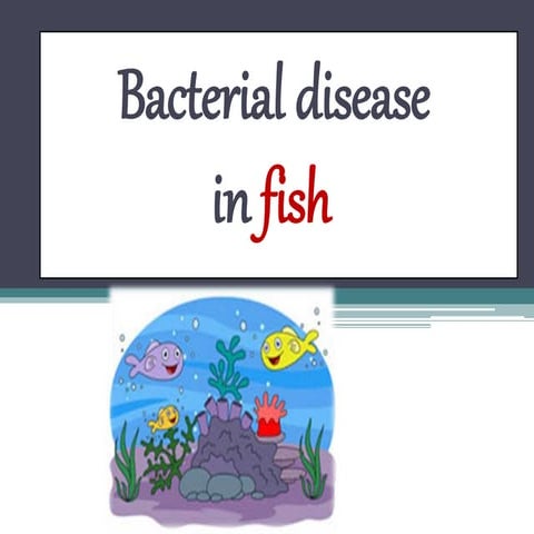 bacterial disease of fishes | PPTX