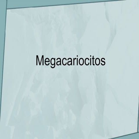 Megacariocitos | PPT