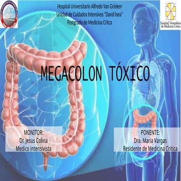 MEGACOLON-TOXICO-Una-Revision-Exhaustiva.pptx