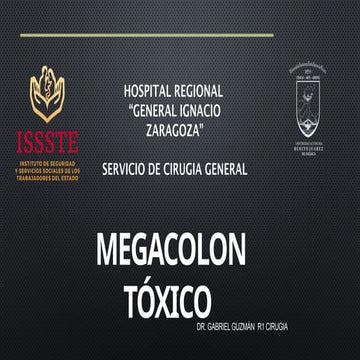 MEGACOLON-TOXICO-Una-Revision-Exhaustiva.pptx