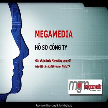 Megamedia about us - 2012 | PPT