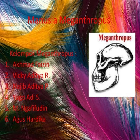 Meganthropus | PPT