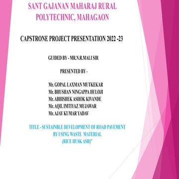 MEGA PROJECT PPT.pptx