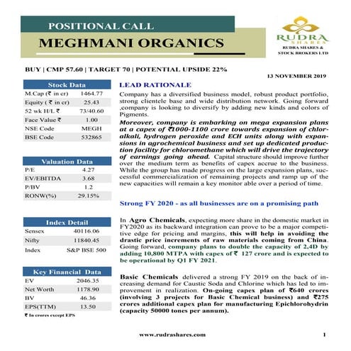 Meghmani organics ltd. | PDF