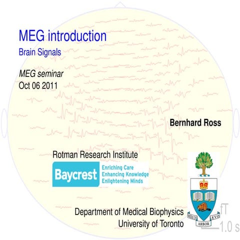 MEG recording of brain signals | PDF