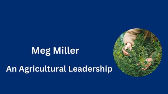 A Brief Introduction About Meg Miller Mizzou | PPT