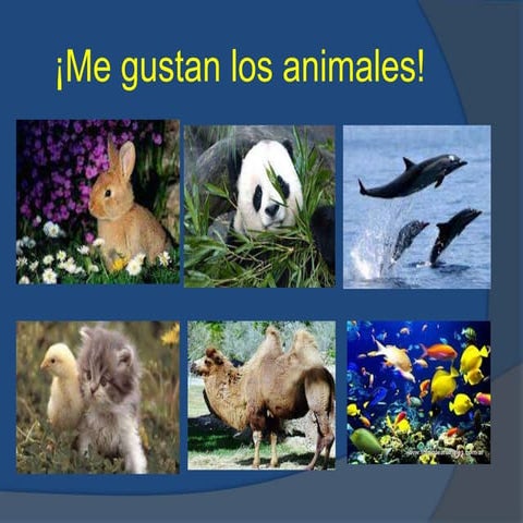 Me gustan los animales! | PPTX