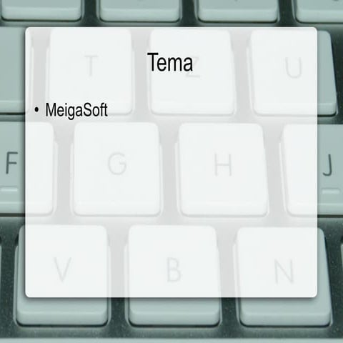 Meiga | PPT
