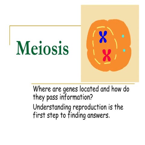 Meiosis | PPT | Infertility | Reproductive Health