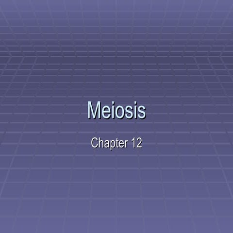 Meiosis | PPT | Biological Sciences | Science