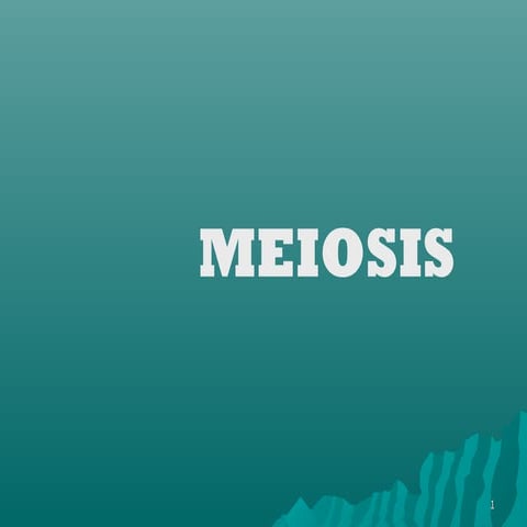 meiosis: guía de estudio | DOC