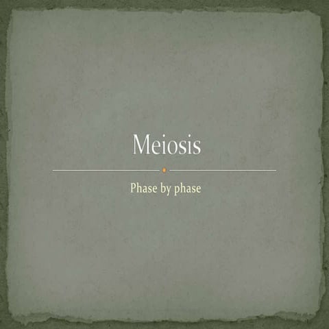Meiosis I only | PPT