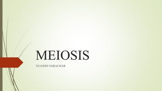 Mitosis And Meiosis | PPT