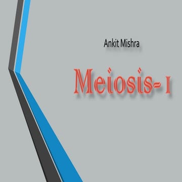 Stages of meoisis i (1) | PPTX