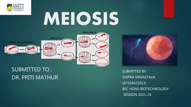 Meiosis in plant cell system and division.ppt