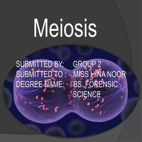 Meiosis.ppt | Infertility | Reproductive Health