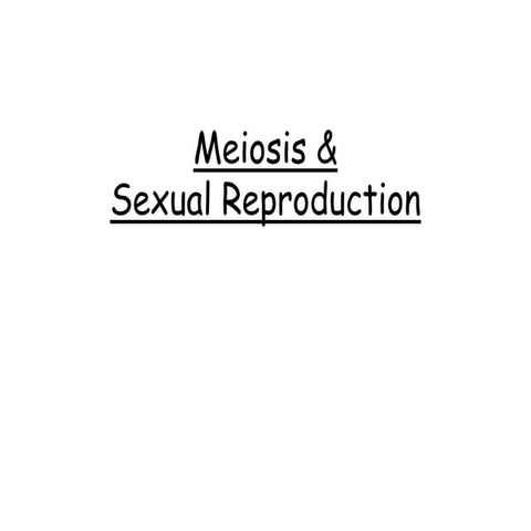 Meiosis presentation for bsc students pptx | PPTX