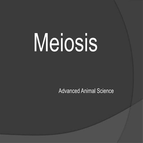 Meiosis.ppt