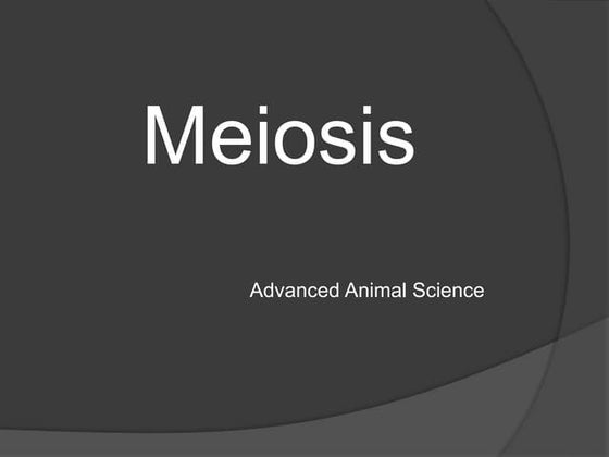 Meiosis.ppt | Infertility | Reproductive Health