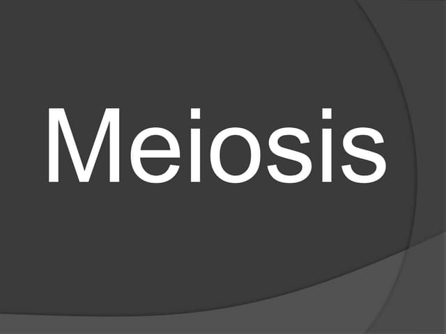 motors and generators in Science 10 Quarter 2 | PPT