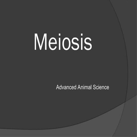Meiosis.ppt............................. | PPT