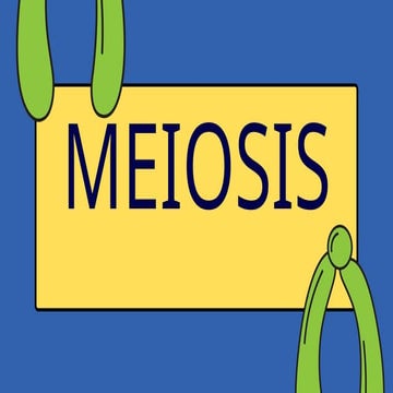Meiosis Gamete Sex Cell Cell Division Pptx