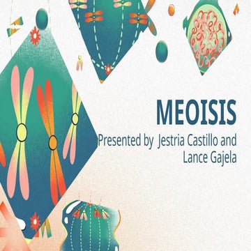 The Process of Meiosis also known as PMAT.pptx