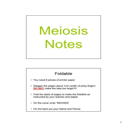 Meiosis foldable2 slides-per_page (1) | PDF | Needlework | Arts and Crafts