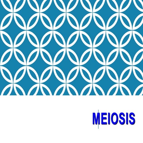 Meiosis Ppt 2014 Copy 1 Ppt