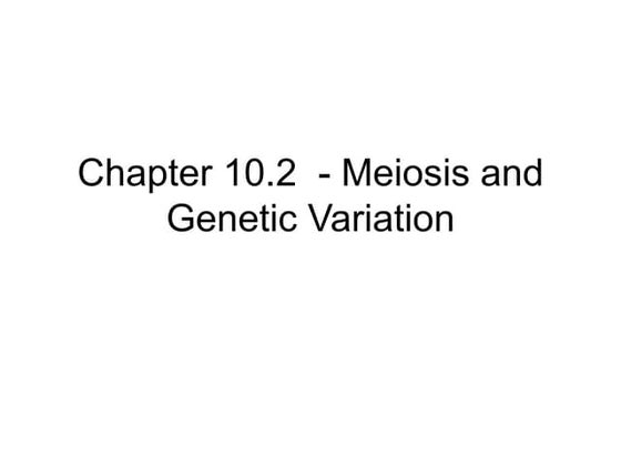 Introduction To Chromosomes,Meiosis and Mitosis | PDF | Infertility ...