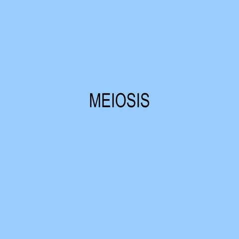 Meiosis In Genetic Nursings 1 Ppt Pptx
