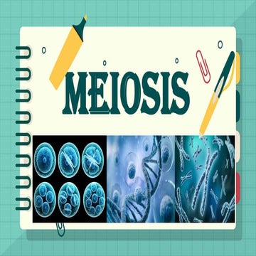 Meiosis General Biology 1 Quarter 2 Lesson 6 Pdf