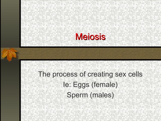 Mitosis and Meiosis for Grade 7 Science 7 | PPT | Biological Sciences ...