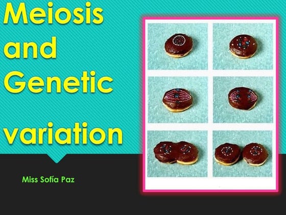 4.2 & 10.1 meiosis | PPT