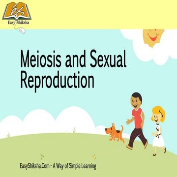 Meiosis and Sexual Reproduction | PPTX | Infertility | Reproductive Health