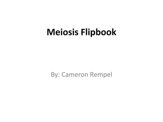 Mitosis Flip Book | PPTX