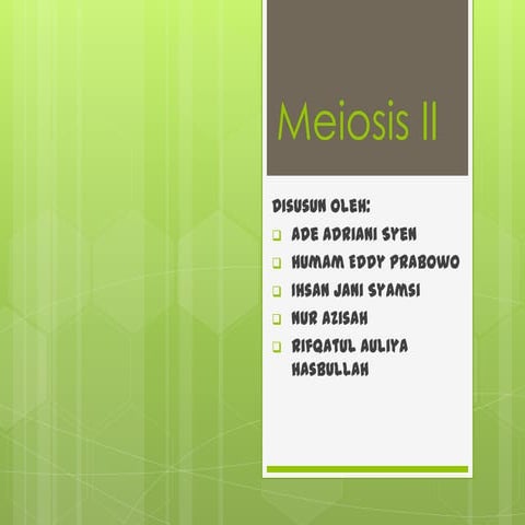 Meiosis ii | PPT