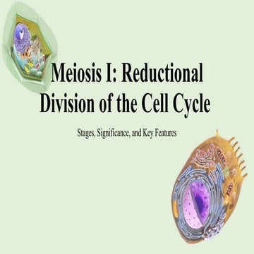 Meiosis I Reductional division biology.pptx