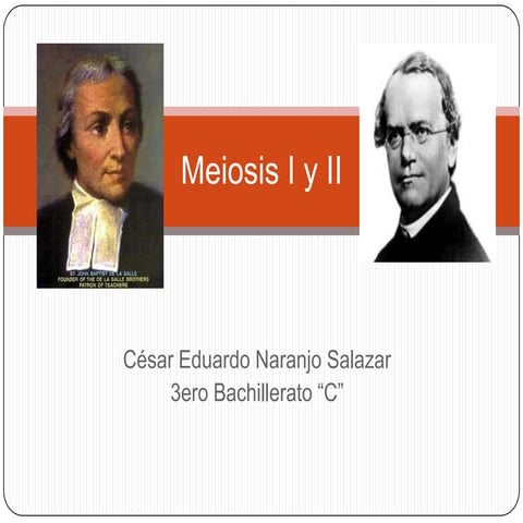 Meiosis i y ii | PPTX