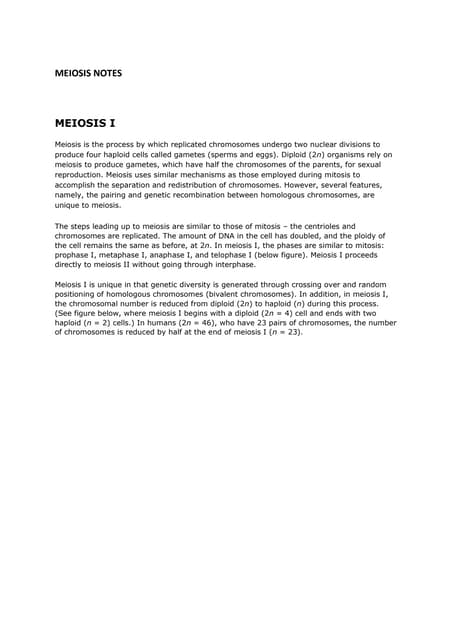 celldivisionmeiosis | PPT