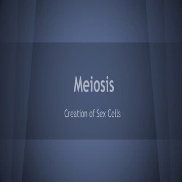 Meiosis | PPT