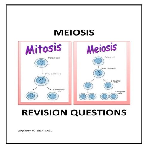 MEIOSIS and Mitosis REVISION for grade 12 only | PDF