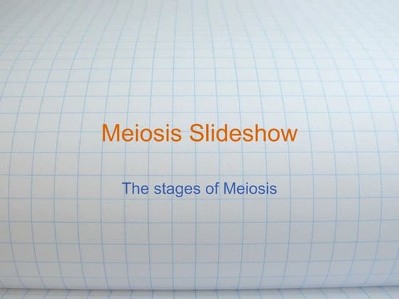 Meiosis | PPT