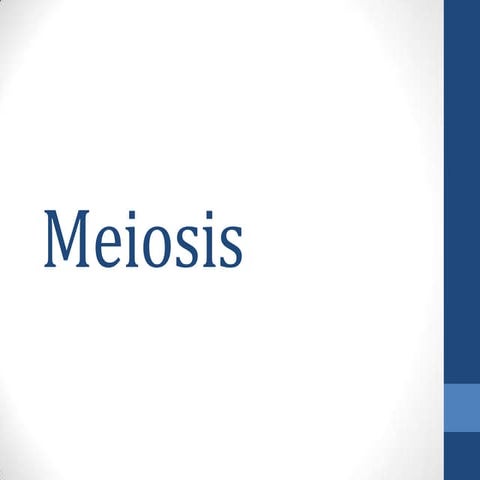 Meiosis | PPTX