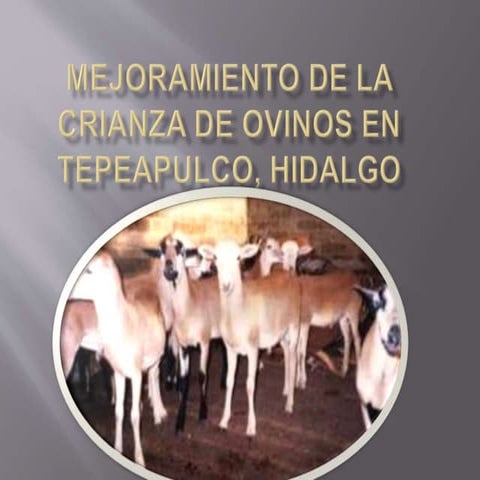 Batman Begins Film Opening Analysis | PPTX